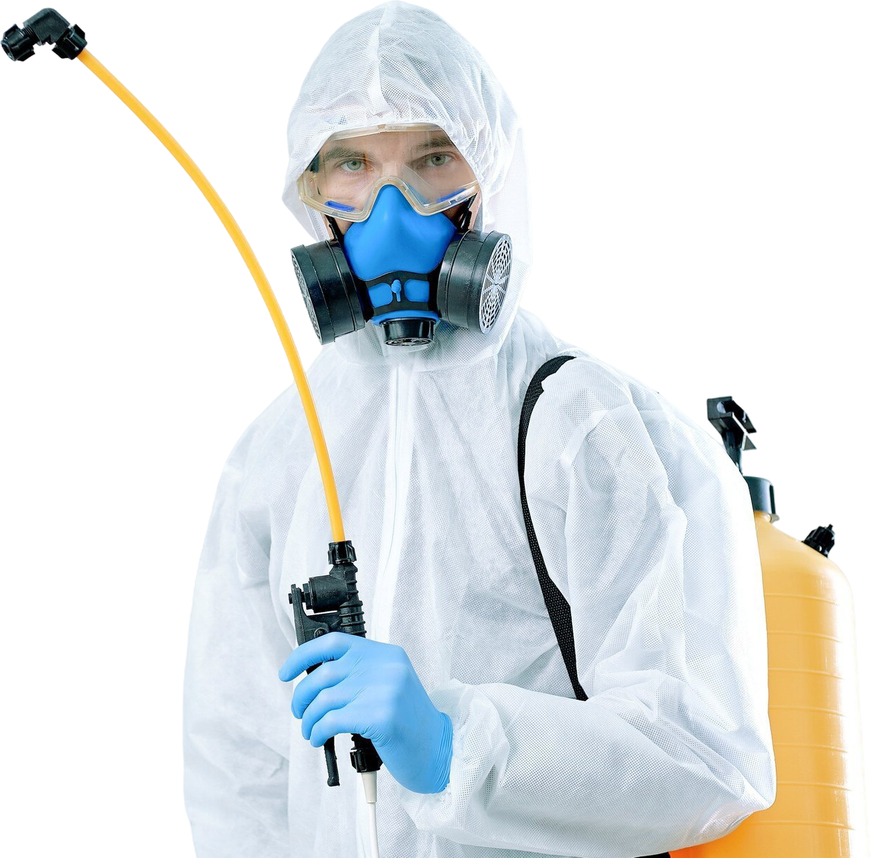 Protective Pest Management – #1 Pest Management in Brisbane, Gold Coast ...